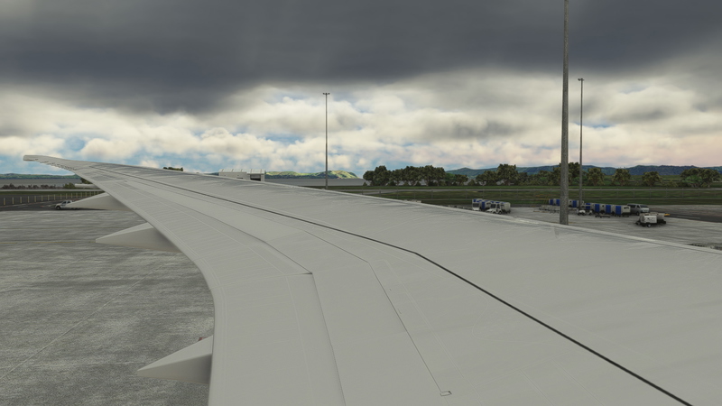 Custom Camera Views [Horizon Sim Boeing 787-9] for Microsoft Flight ...