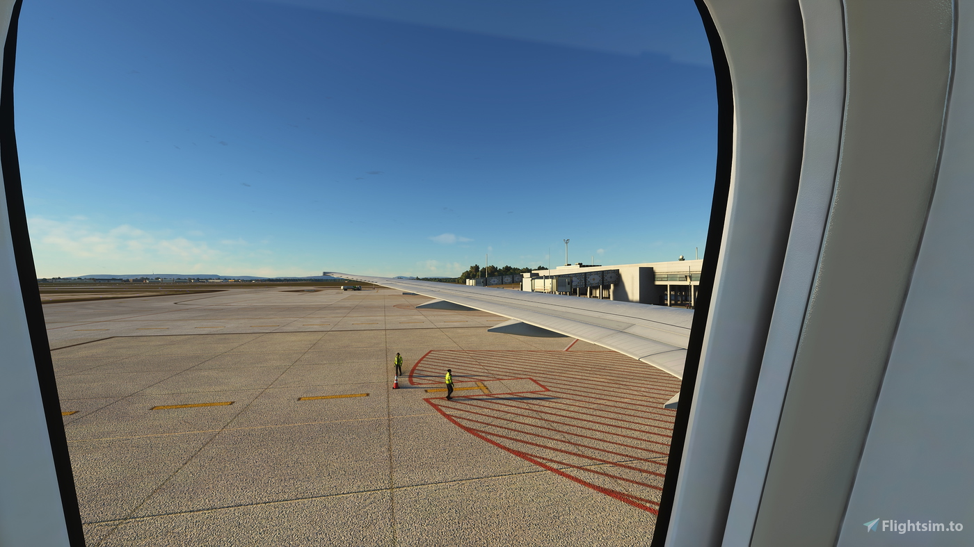 Custom wing views Horizon Simulation B787-9 for Microsoft Flight ...