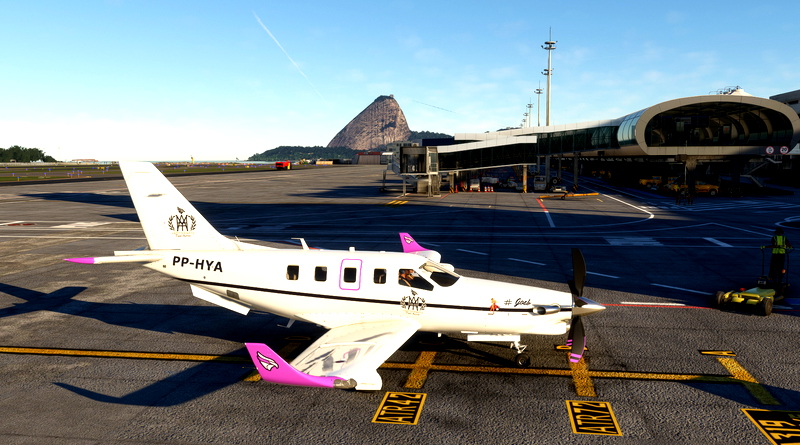 Daher TBM 930 Liveries for Microsoft Flight Simulator | MSFS