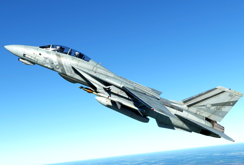 DC Designs F-14 Liveries for Microsoft Flight Simulator | MSFS