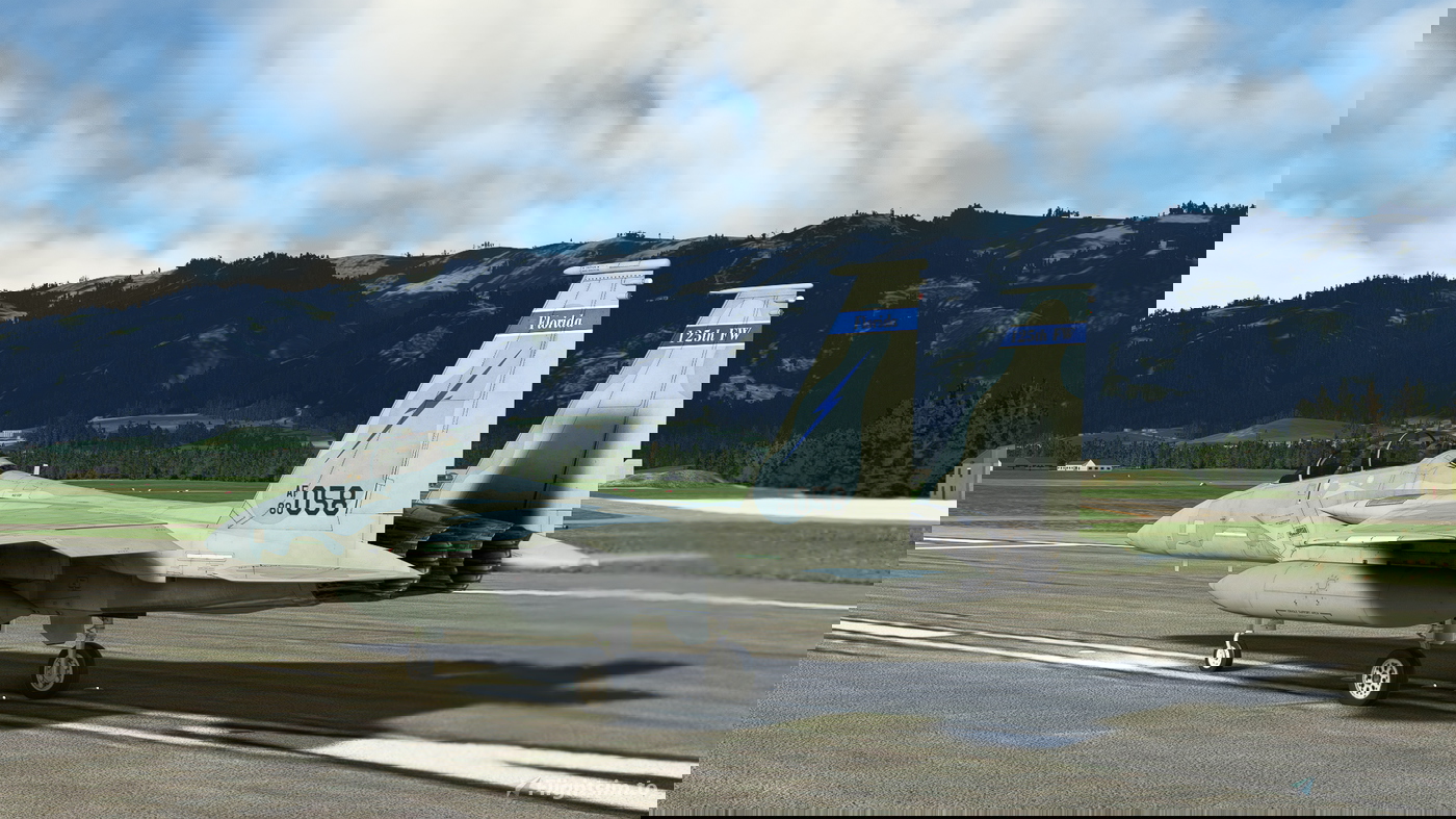 DC Designs F-15D - 159th Fighter Squadron 80-0058 Florida Air National ...