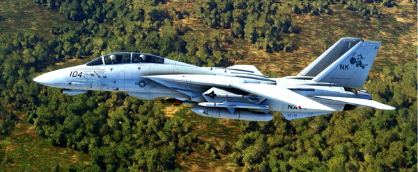 DC Designs F-14A Tomcat Iceman and Maverick Twin pack. for Microsoft ...