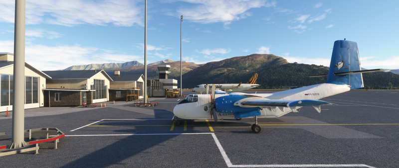 DHC-4 Caribou Liveries for Microsoft Flight Simulator | MSFS