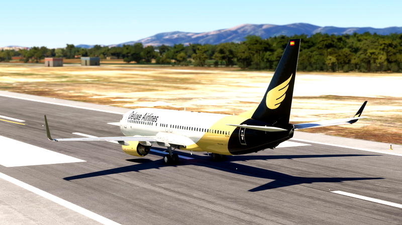 PMDG Boeing 737-800 Liveries para Microsoft Flight Simulator | MSFS