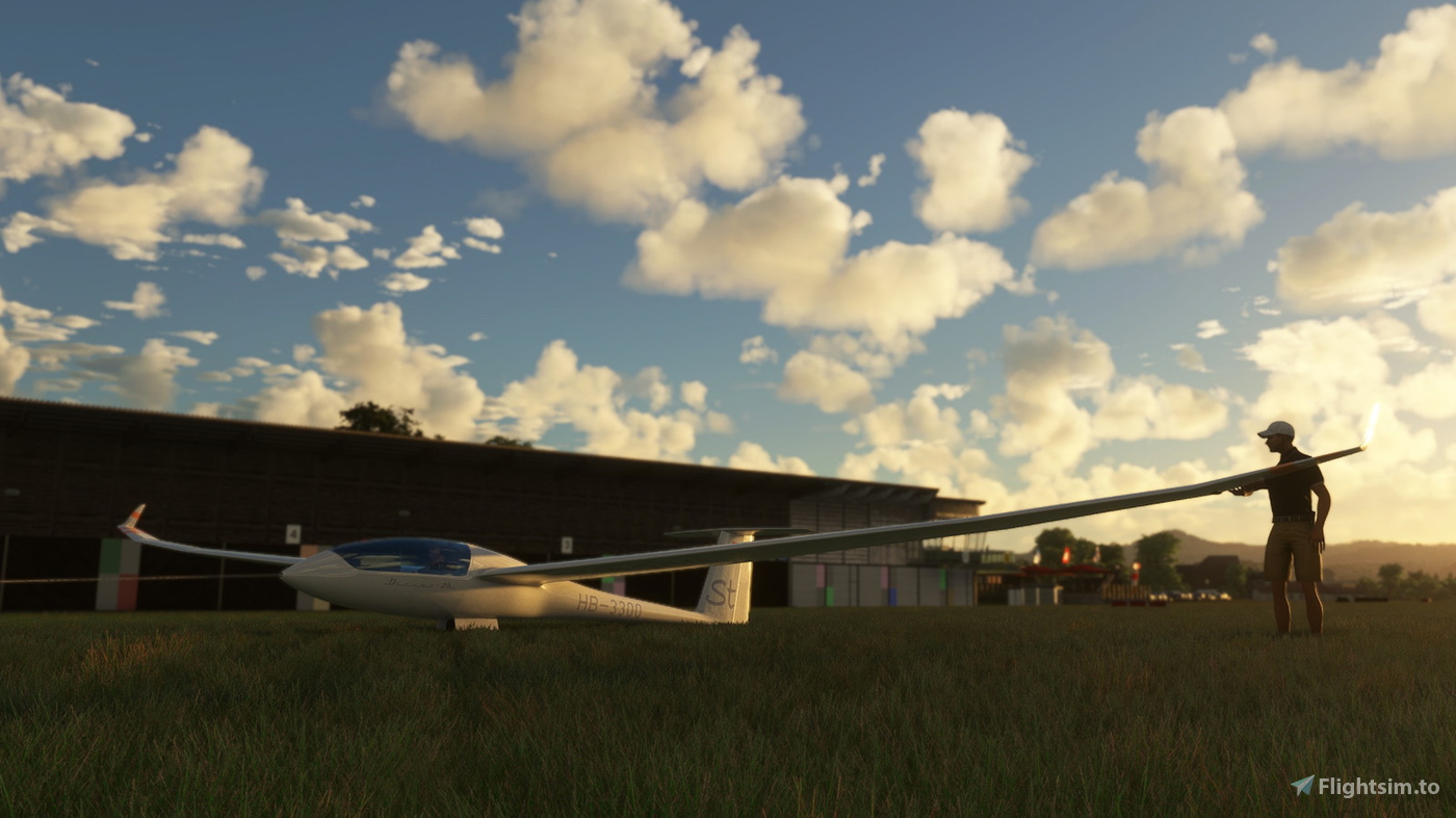 Discus 2c (2b) FGZO fleet package for Microsoft Flight Simulator | MSFS