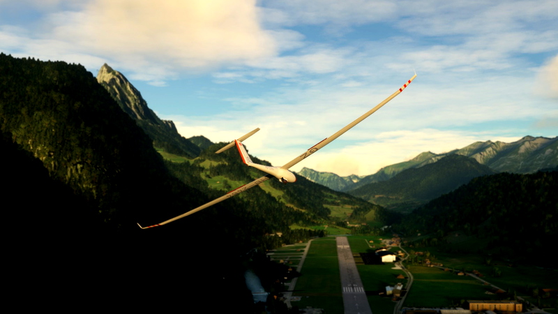 Discus 2c (2b) FGZO fleet package for Microsoft Flight Simulator | MSFS