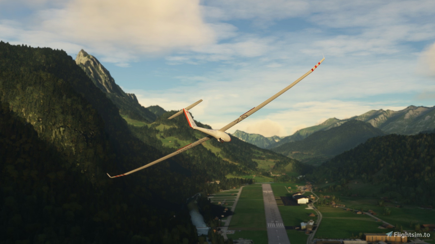 Discus 2c (2b) FGZO fleet package for Microsoft Flight Simulator | MSFS