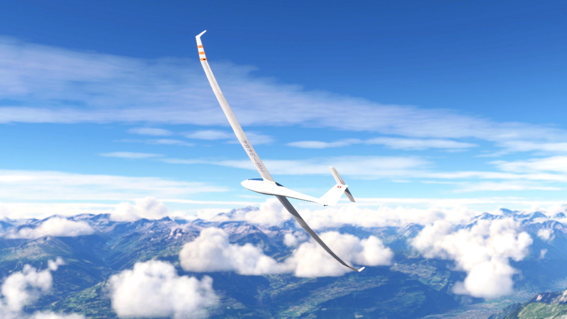 Discus 2c (2b) FGZO fleet package for Microsoft Flight Simulator | MSFS