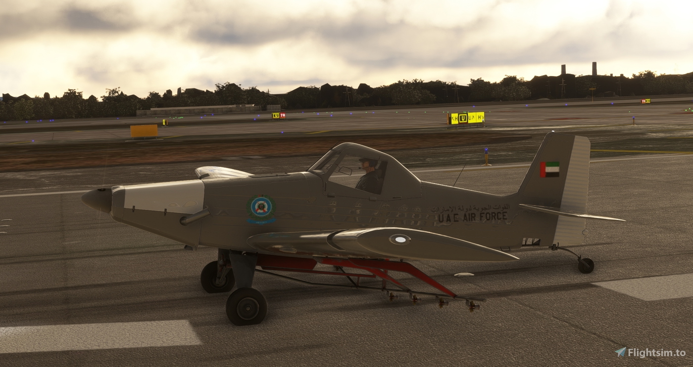 EMB 200 UAE-AF のために Microsoft Flight Simulator | MSFS