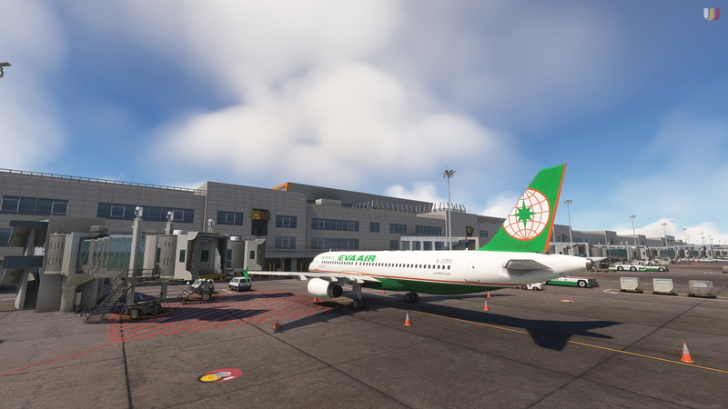 EVA AIR A320 B-22310 Livery For Fenix A320 BFU IAE for Microsoft Flight ...