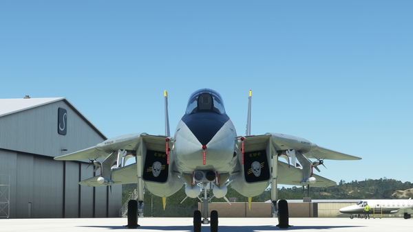 F-14 Package for Microsoft Flight Simulator | MSFS