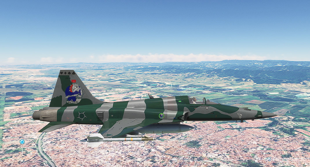 FAB F5 Pinturas for Microsoft Flight Simulator | MSFS