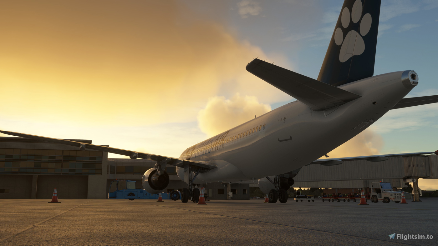 FBW A320 Paws Air (fictional) for Microsoft Flight Simulator | MSFS