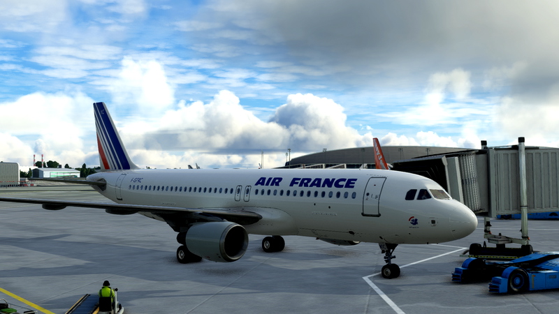 FENIX A320 Air France F-GFKC (Habsheim) 8K for Microsoft Flight ...