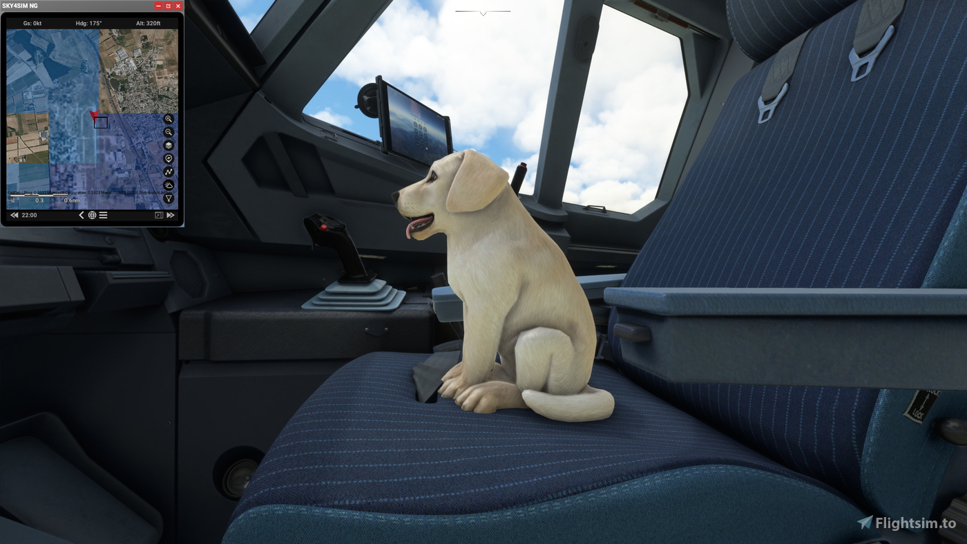 Fenix A320 Pilot&Copilot for Microsoft Flight Simulator | MSFS