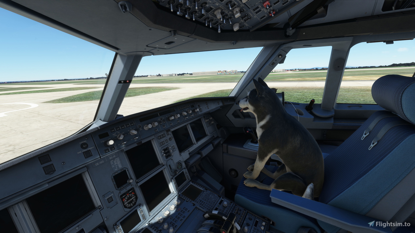 Fenix A320 Pilot&Copilot for Microsoft Flight Simulator | MSFS