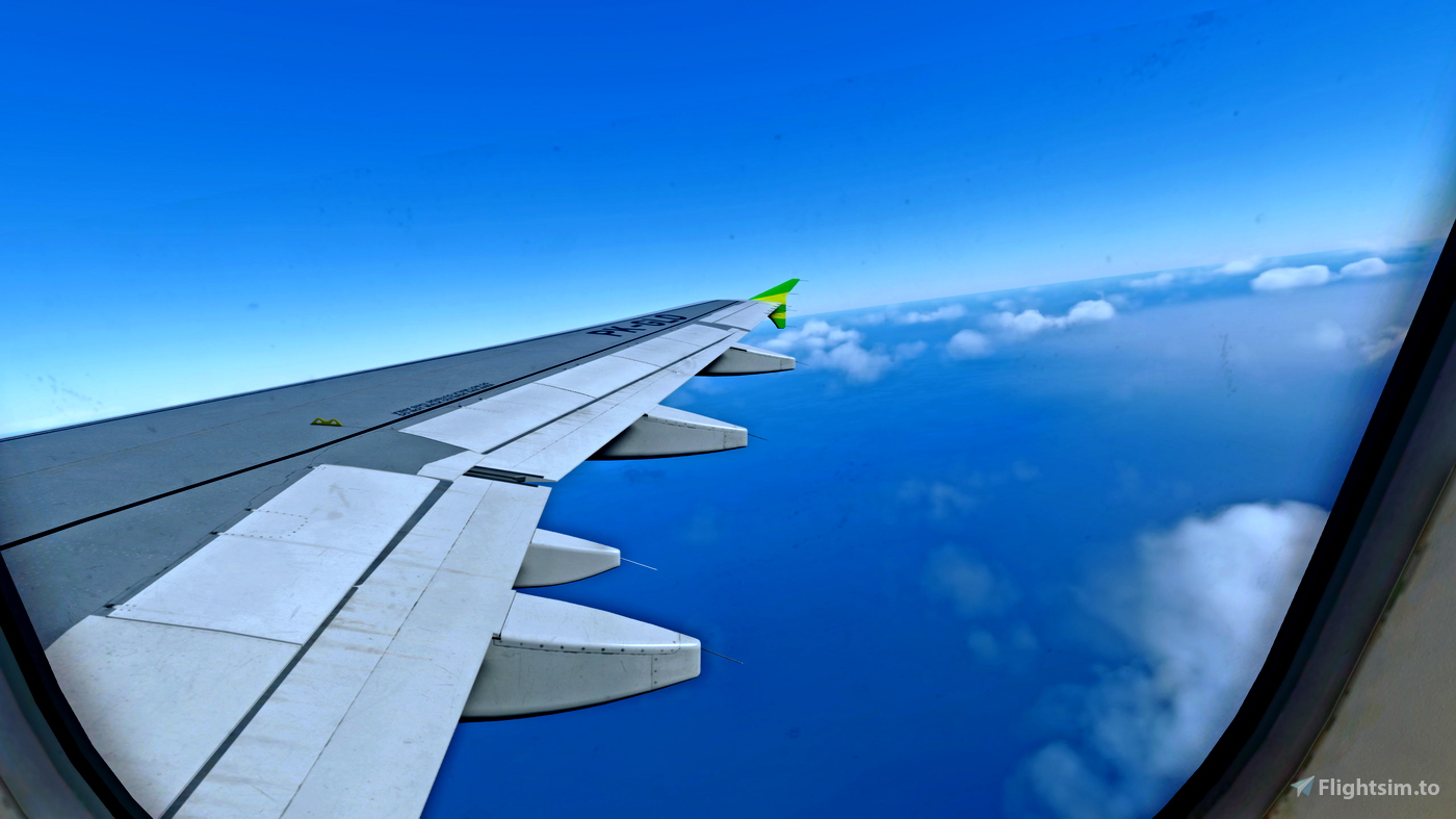 Fenix A320 Custom Wing Views for Microsoft Flight Simulator | MSFS