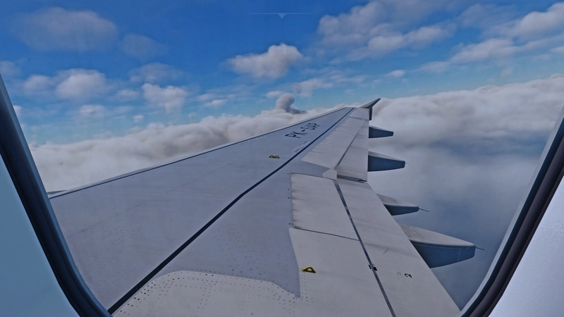 Fenix A320 Custom Wing Views for Microsoft Flight Simulator | MSFS