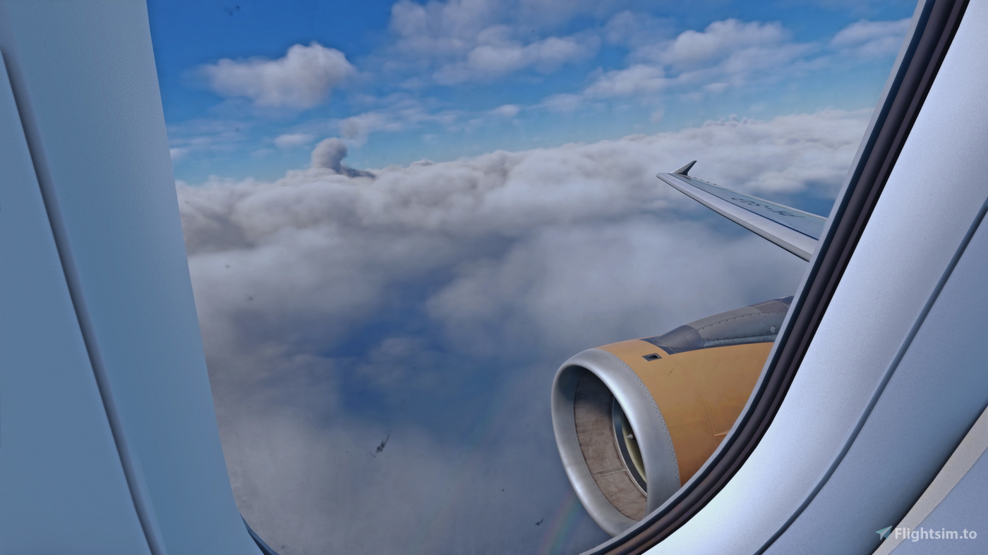 Fenix A320 Custom Wing Views for Microsoft Flight Simulator | MSFS