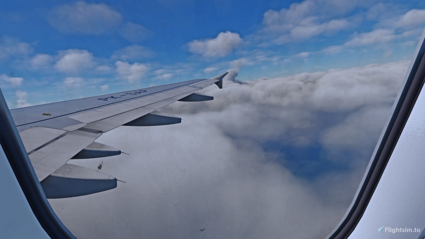 Fenix A320 Custom Wing Views for Microsoft Flight Simulator | MSFS