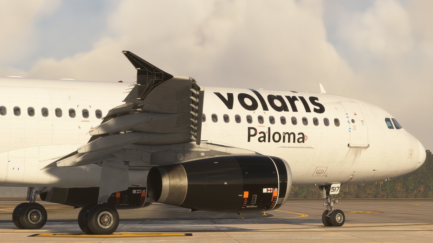 Fenix A320 IAE V2 Volaris (N517VL - Paloma) (12K Dirty) for Microsoft ...
