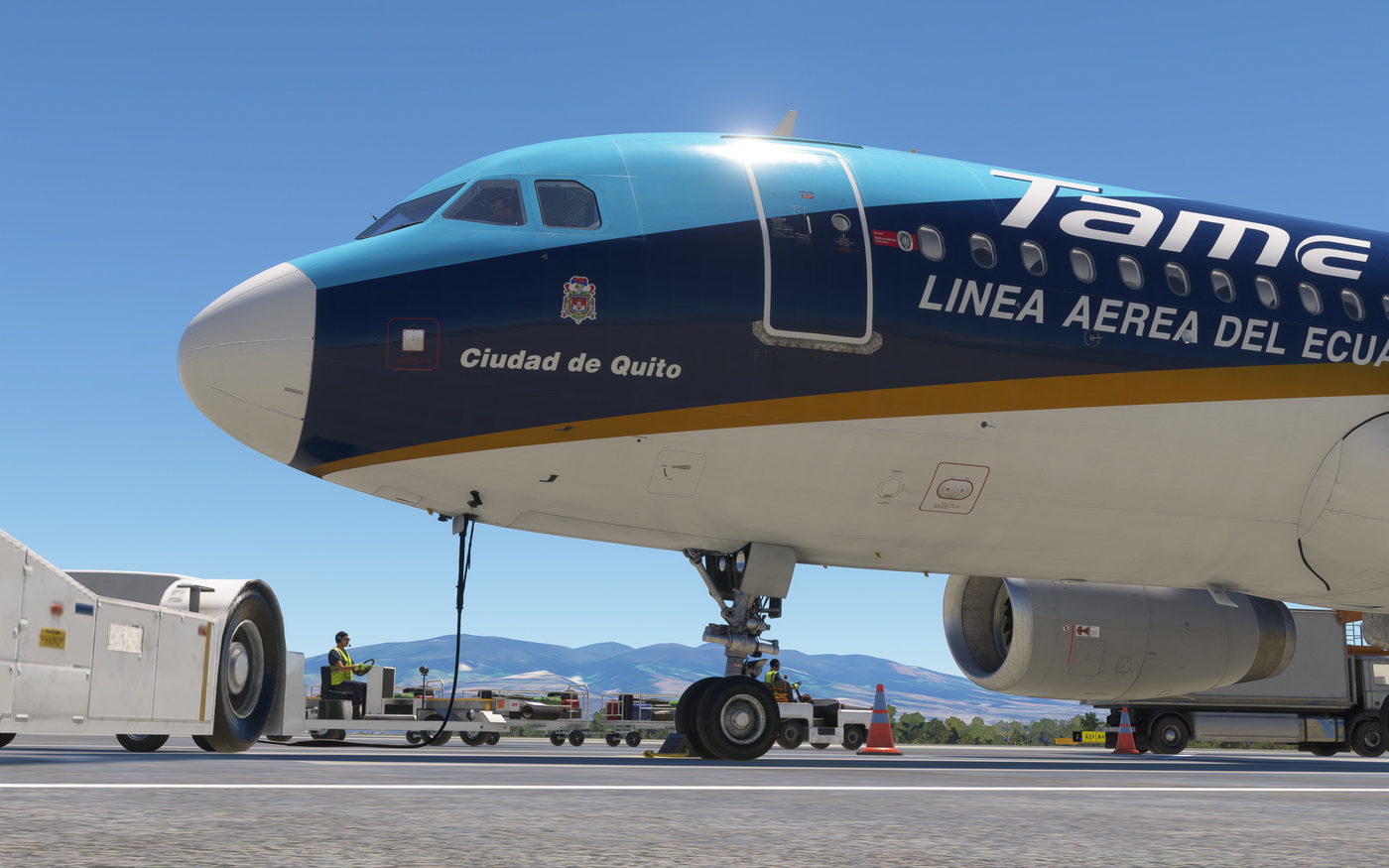 Fenix Simulations A320-233 - TAME HC-CDY (Circa 2008) IAE 8K for ...
