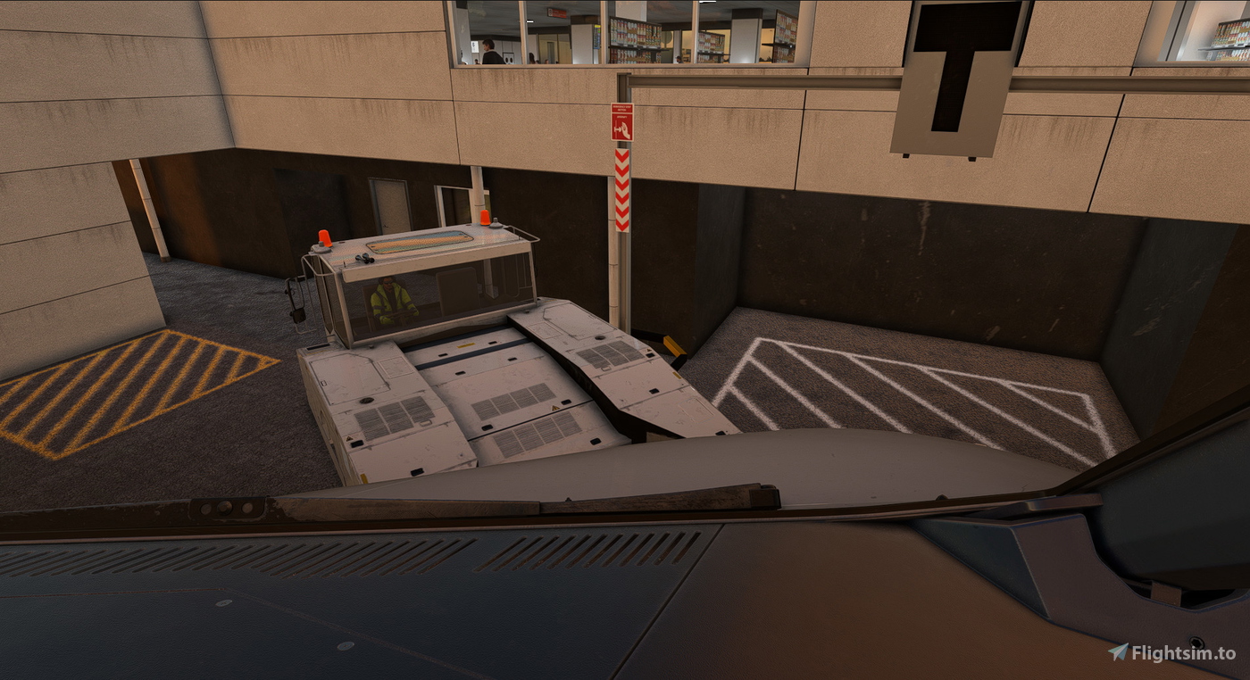 Fenix Simulations (CFM) Custom Camera Veiws for Microsoft Flight ...