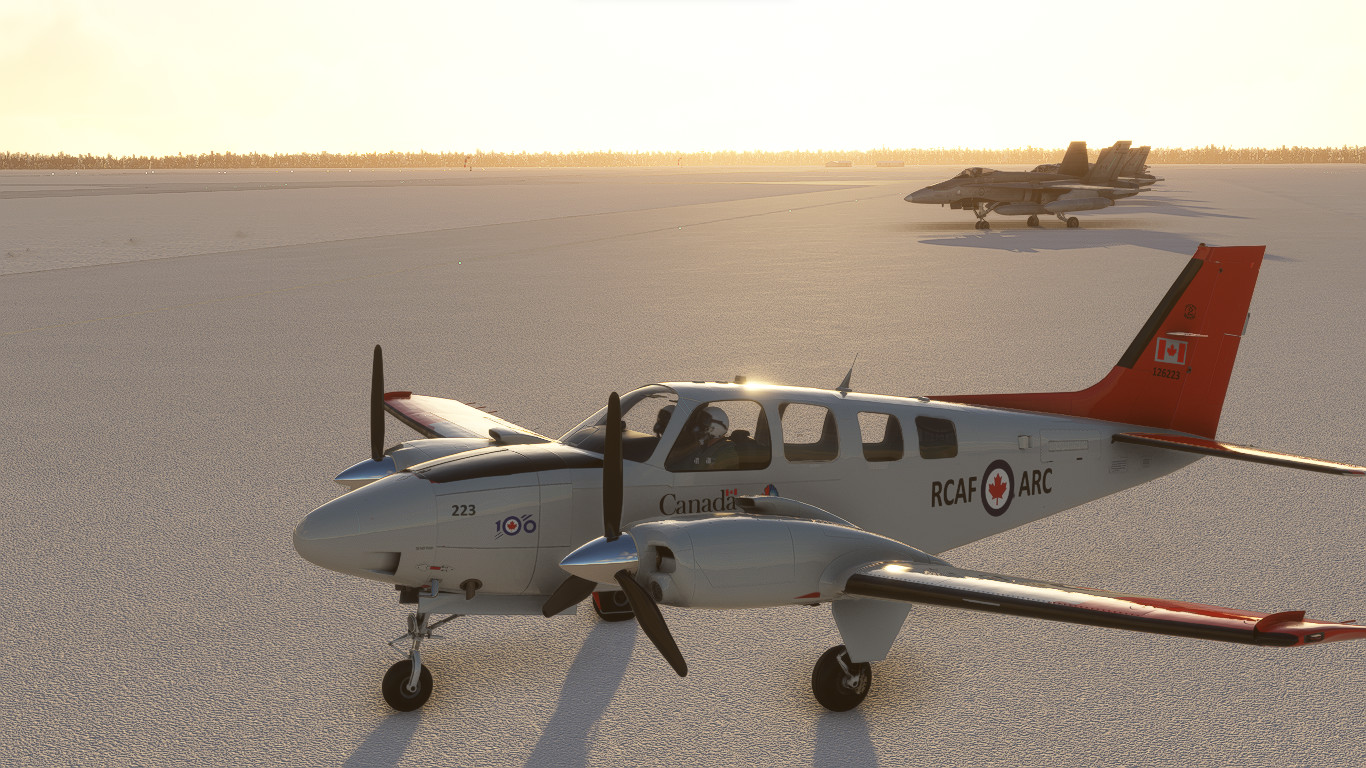 Fictitious livery for Beechcraft G-58 for Microsoft Flight Simulator | MSFS