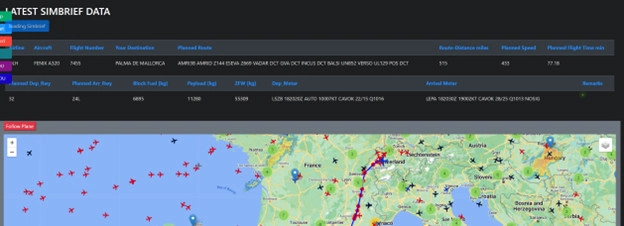 Flight Information Map - 2024 for Microsoft Flight Simulator | MSFS