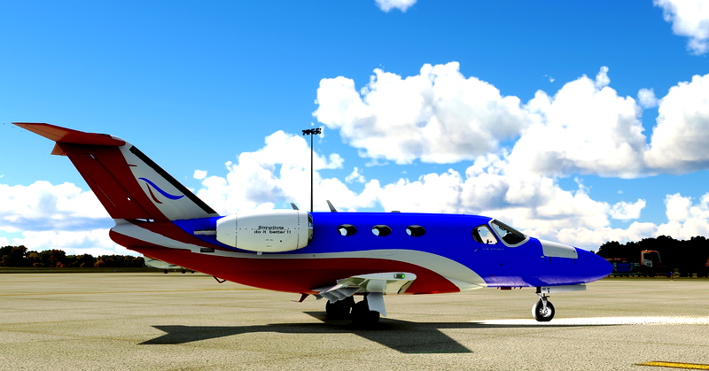 Cockspur C510 Mustang Liveries for Microsoft Flight Simulator | MSFS