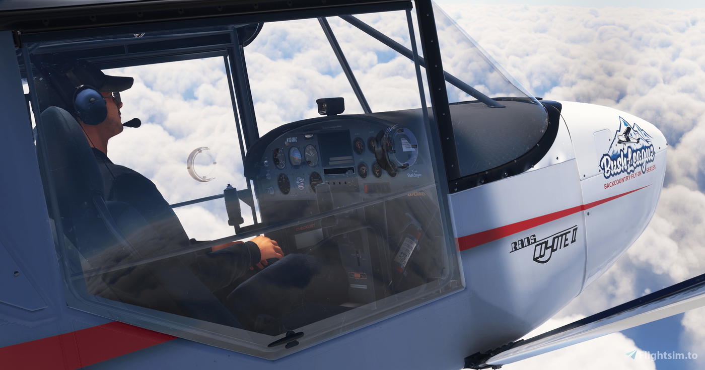 FlyBoy Rans S6S Coyote | Virtual USA Flying Club for Microsoft Flight ...