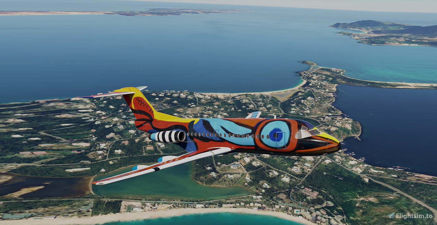 Fokker F28 MK 3000 Karel Appel Livery for Microsoft Flight Simulator | MSFS