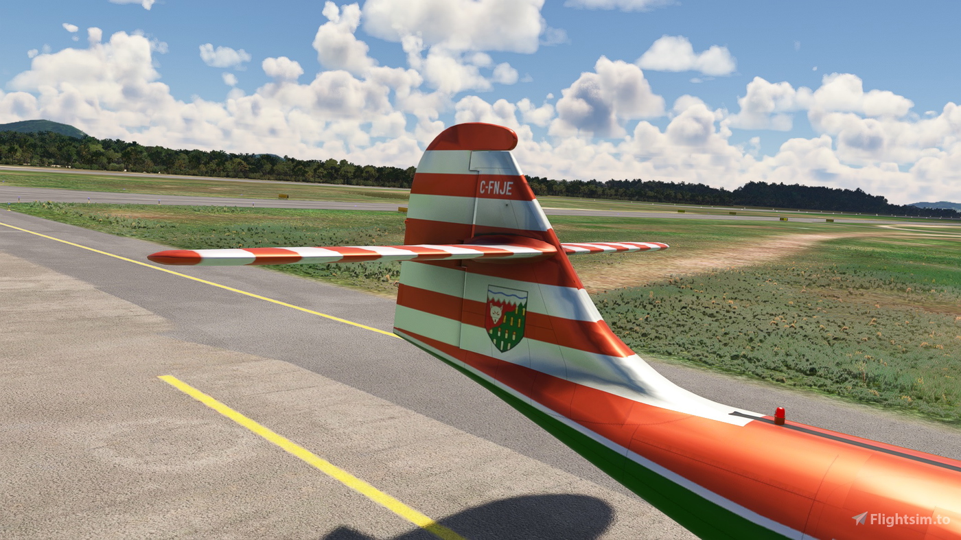 French VFR Canso PBY-5A Catalina Custom Cameras for Microsoft Flight ...