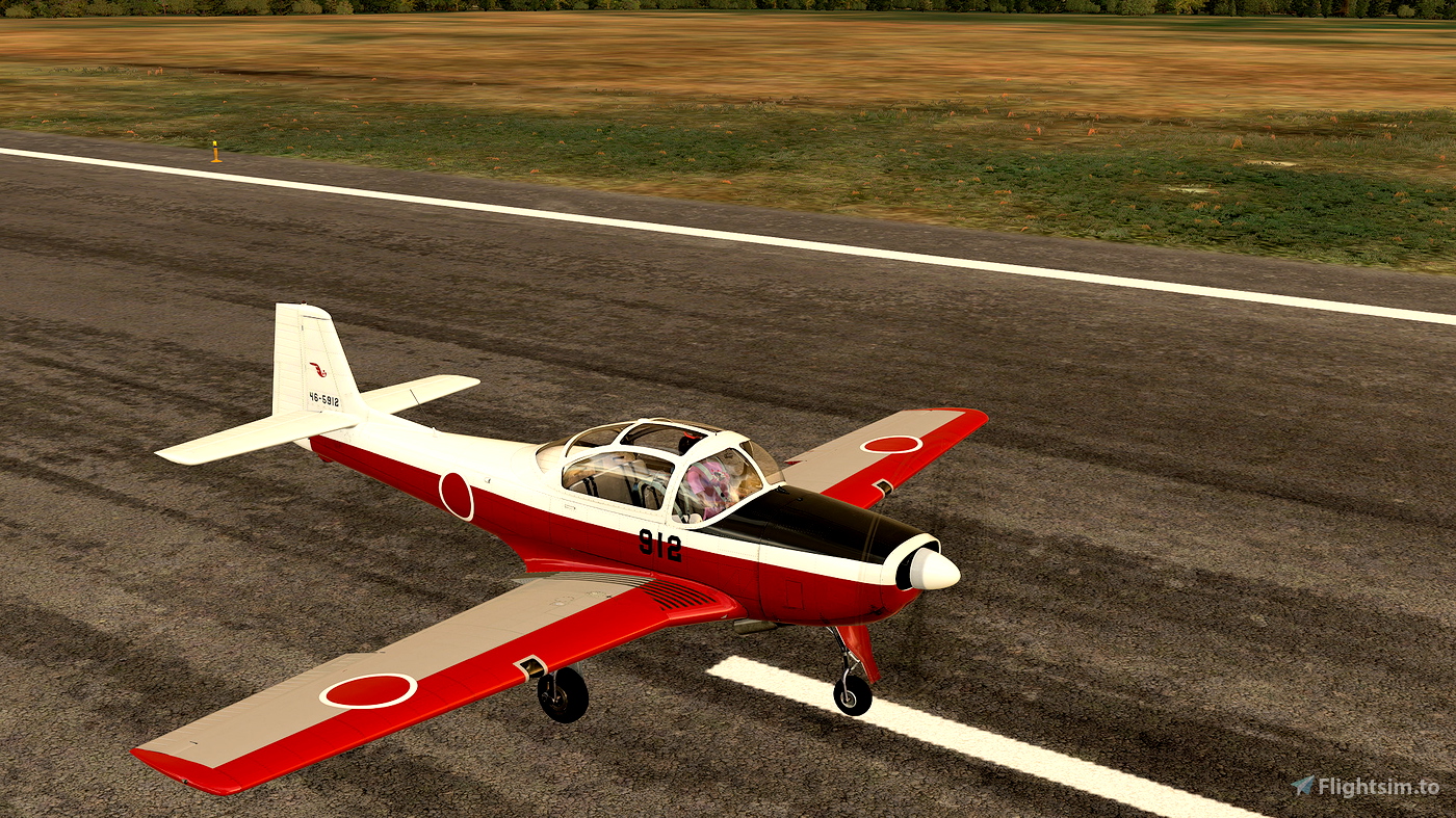 Fuji T-7 of the JASDF 12th Flight Training Wing for the Piaggio / Focke ...