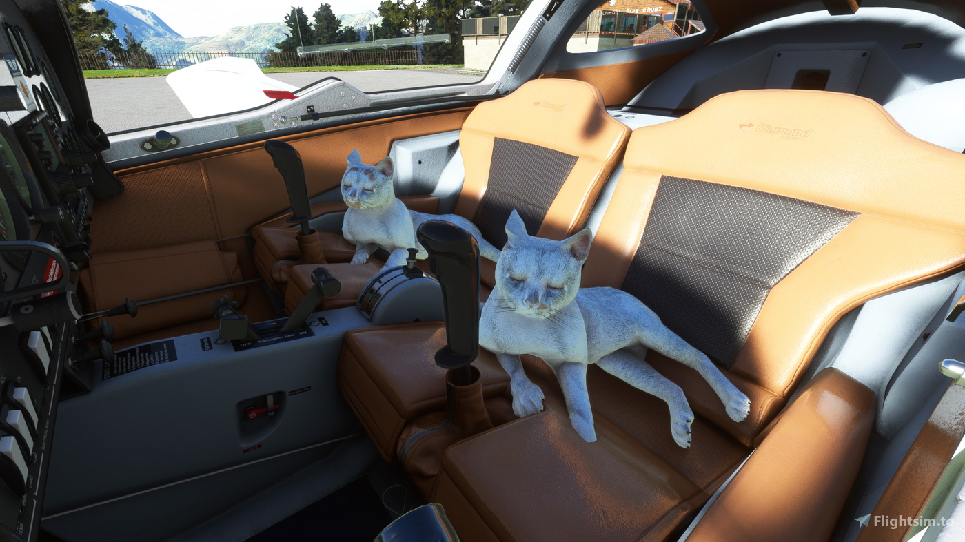 GotFriends Avitar: Man's Best Friends Jake & Elwood for Microsoft ...