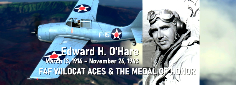 GotFriends F4F Wildcat ACES AND THE MEDAL OF HONOR 4K VF3-EdwardOHare ...