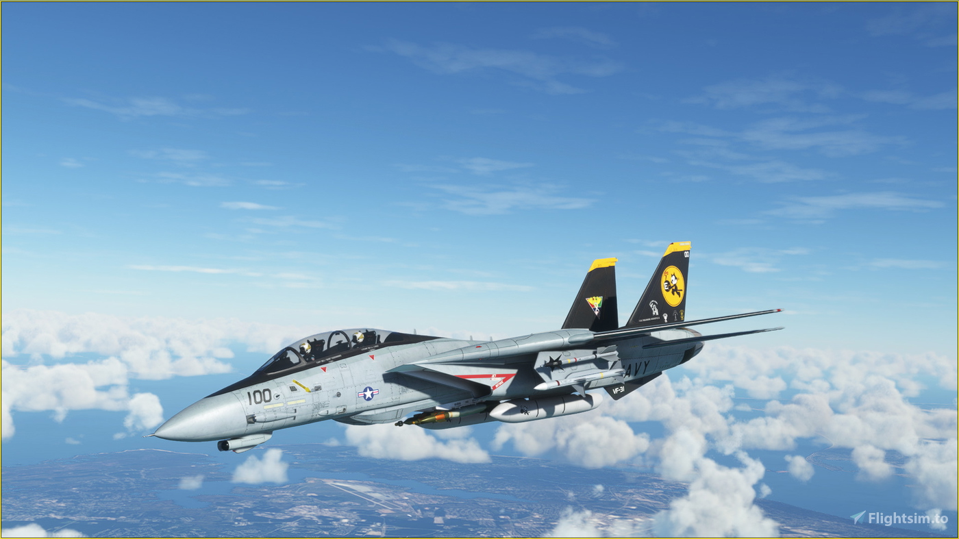 Grumman F-14 D Tomcat VF-31 Tomcatters for Microsoft Flight Simulator ...