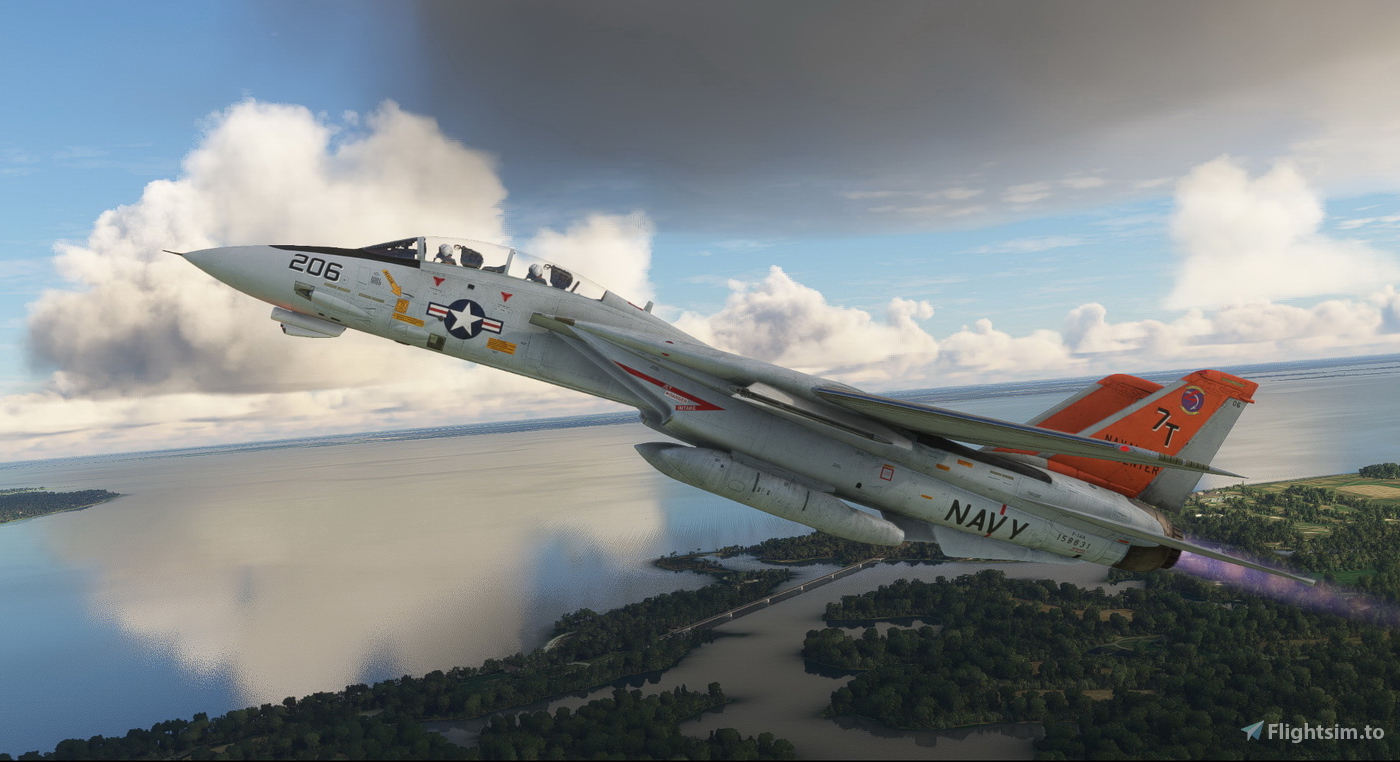 Grumman F-14 Tomcat NATC #206 1981 for Microsoft Flight Simulator | MSFS