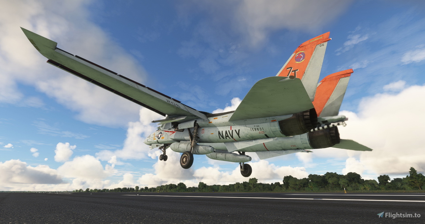 Grumman F-14 Tomcat NATC #206 1981 for Microsoft Flight Simulator | MSFS