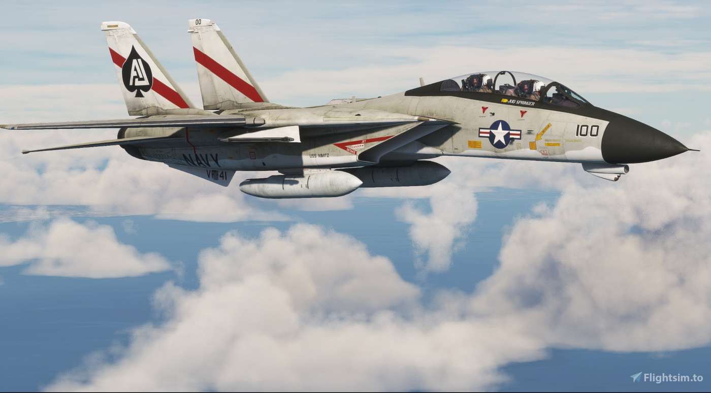 Grumman F-14 Tomcat VF-41 #100 1977 for Microsoft Flight Simulator | MSFS