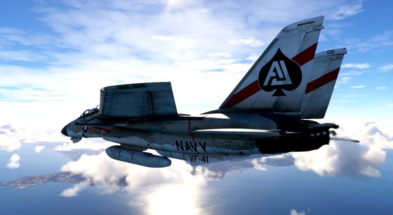 Grumman F-14 Tomcat VF-41 #100 1977 for Microsoft Flight Simulator | MSFS