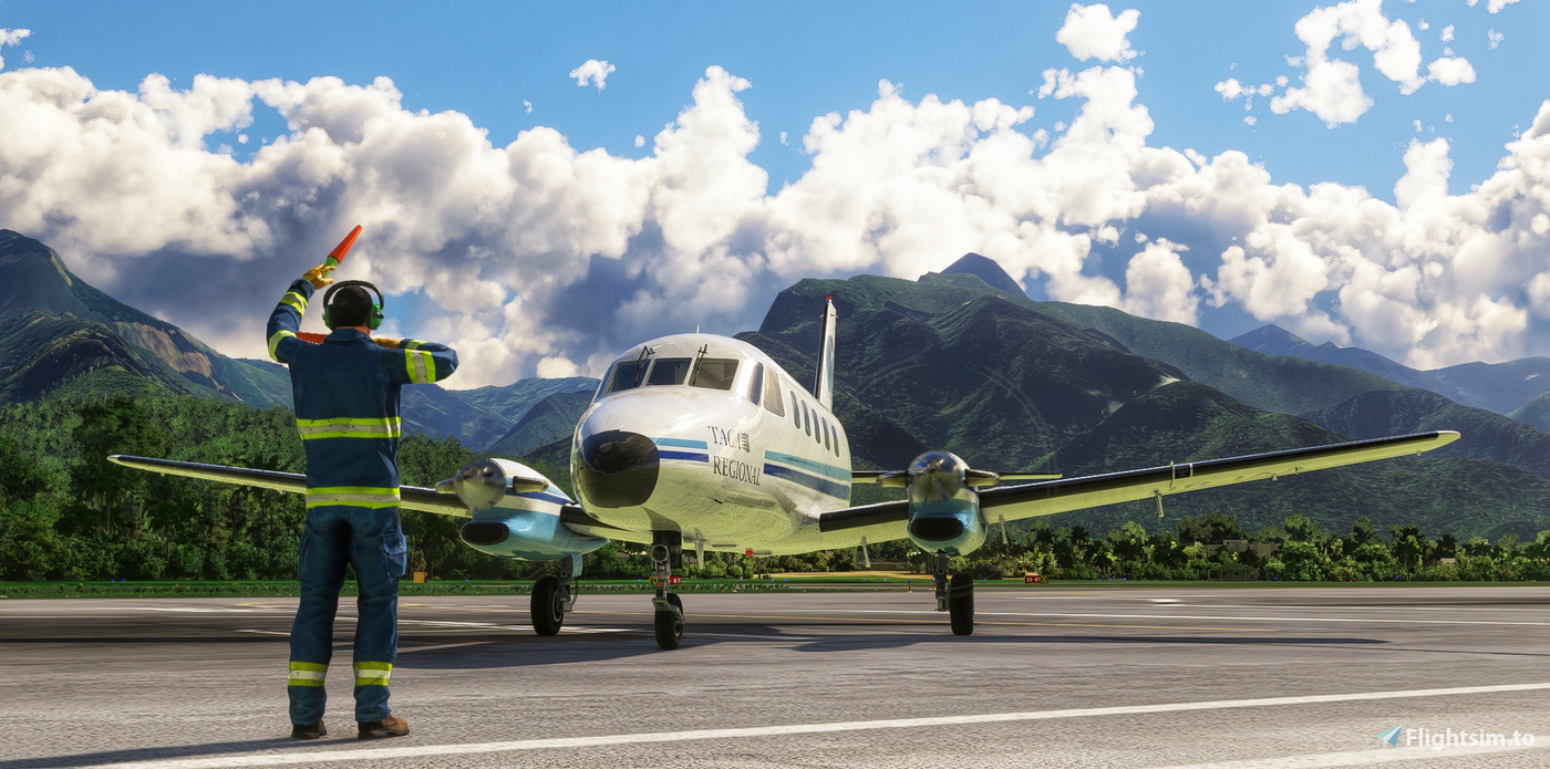 GSX Pro Profile - fsx/msfscenerybuilders MHLC Goloson Intl. Airport for ...