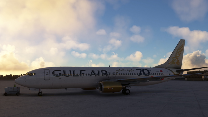 PMDG Boeing 737-800 Liveries 对于 Microsoft Flight Simulator | MSFS