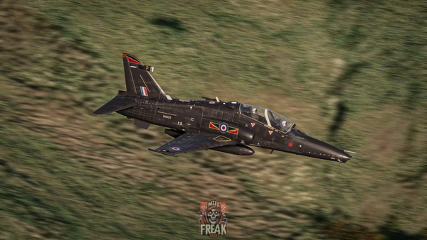 HAWK T2 - ENHANCED REALISM - RAF '4SQN RAF 100' for Microsoft Flight Simulator | MSFS