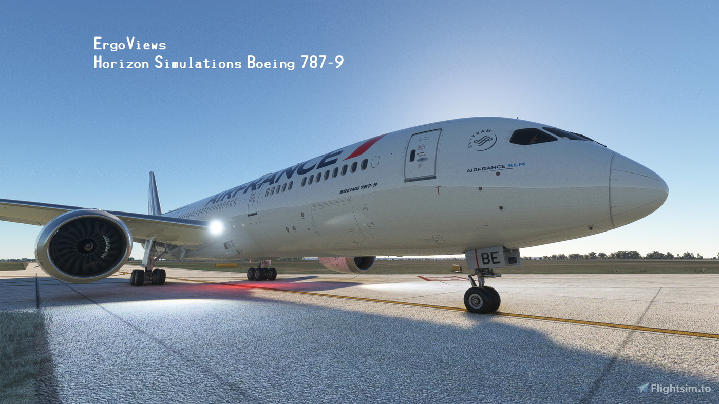 Horizon Simulations B787-9 Views - ErgoViews V1.0 for Microsoft Flight ...