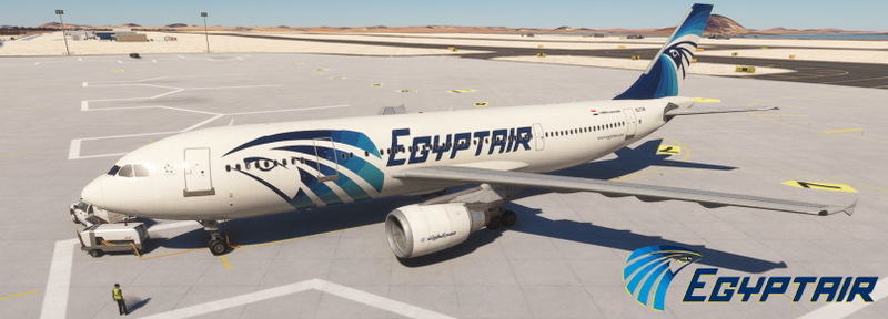 iniBuilds Airbus A300 Liveries for Microsoft Flight Simulator | MSFS