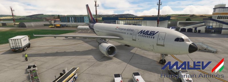 iniBuilds Airbus A300 Liveries for Microsoft Flight Simulator | MSFS
