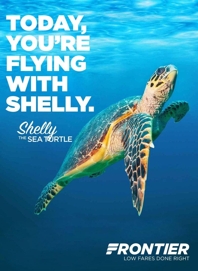 iniBuilds A320 NEO Frontier | Shelly the Sea Turtle | N316FR for ...