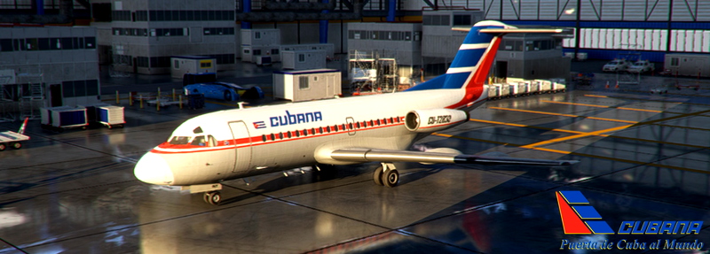 Fokker F28 Professional Liveries for Microsoft Flight Simulator | MSFS | Flightsim.to