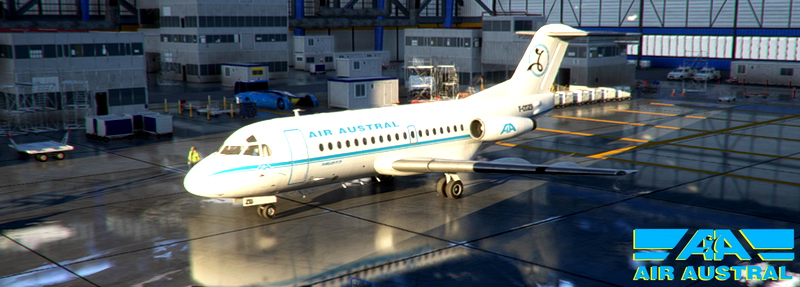 Fokker F28 Professional Liveries for Microsoft Flight Simulator | MSFS | Flightsim.to